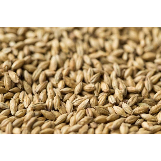 Gladfield Light Lager Malt – Three Chins Brewing
